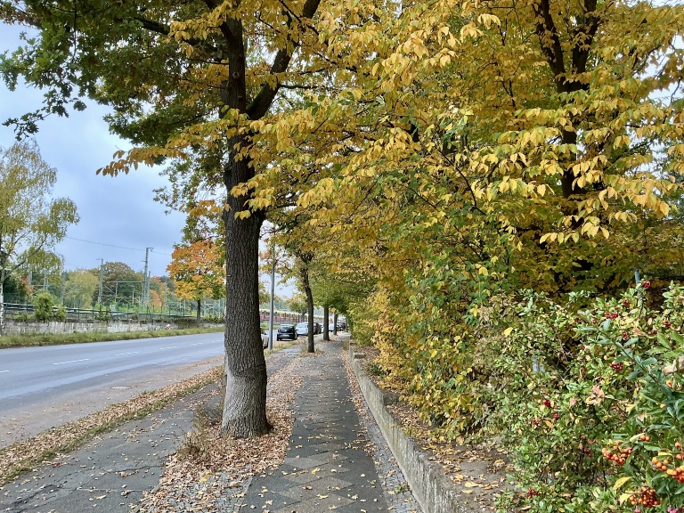 Wohnung in Berlin / Wannsee - 2-Zimmerwohnung in Berlins be..